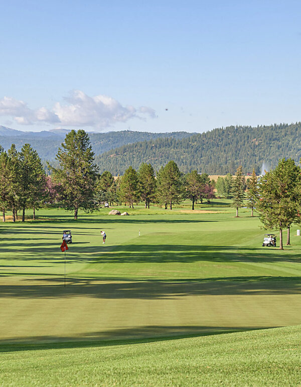 Summer - Whitetail Club